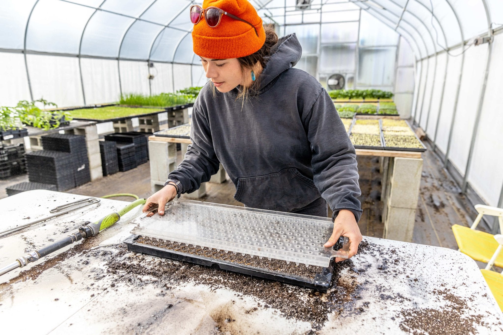 Dibble Board for Paperpot