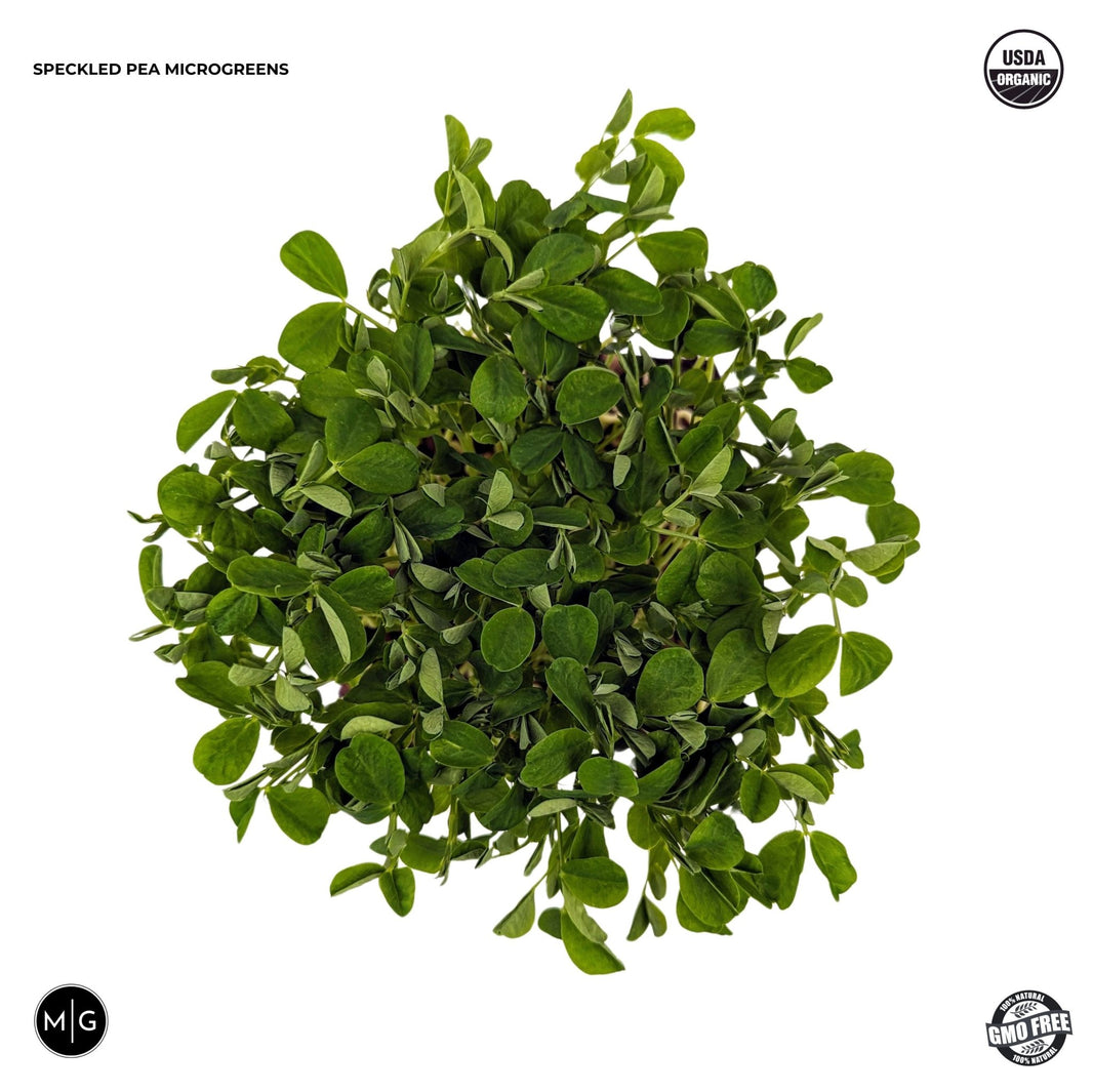 Microgreen Seed - Organic, GMO-free, Grow Nutrient Dense Sprouts