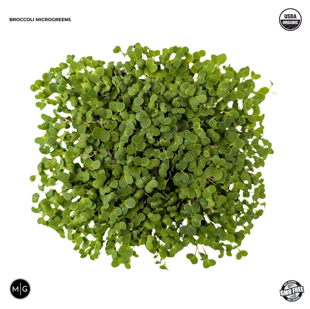 Microgreen Seed - Organic, GMO-free, Grow Nutrient Dense Sprouts