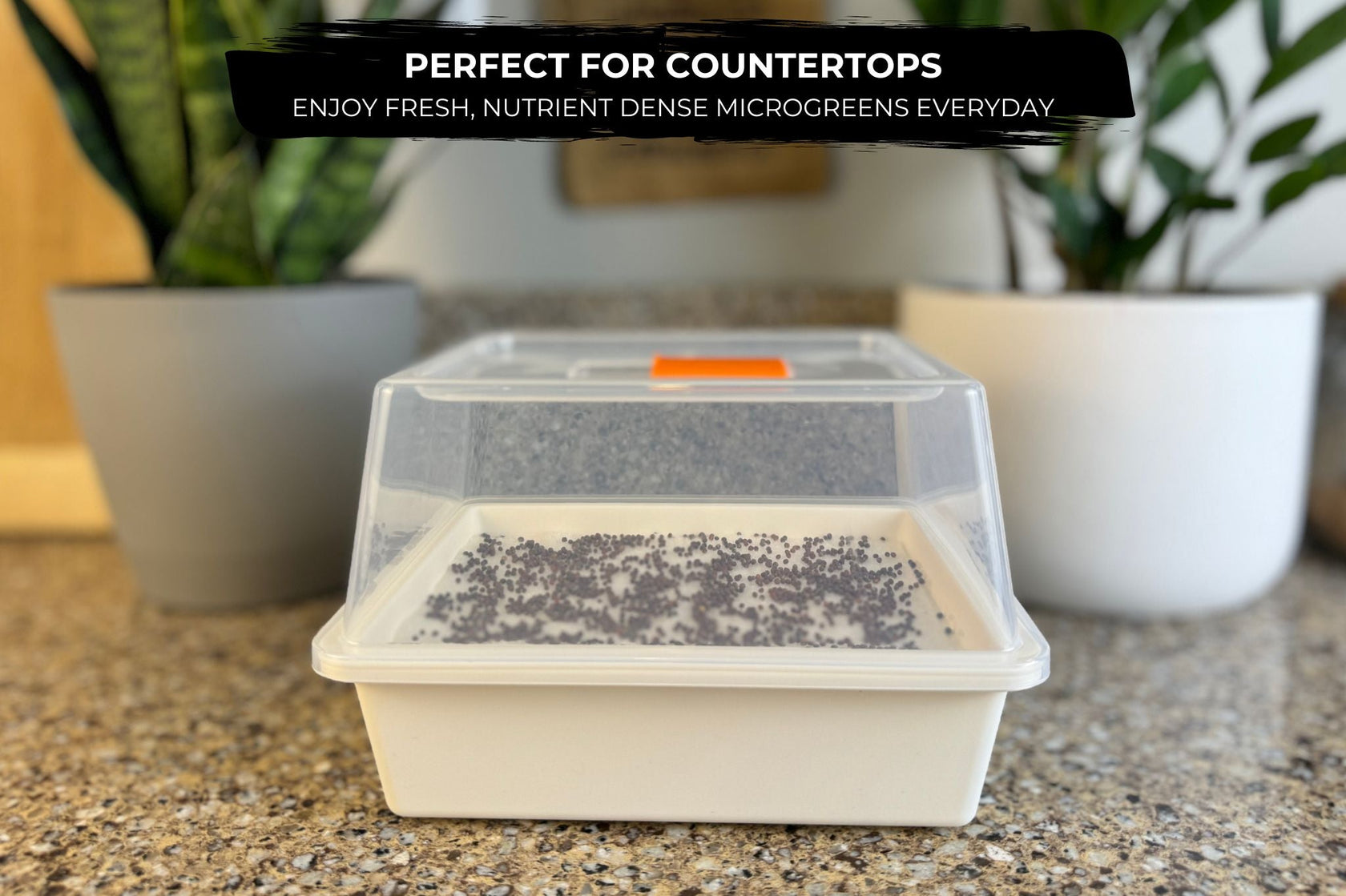 Sproutlet Indoor Microgreen Growing System - Soilless, Hydroponic