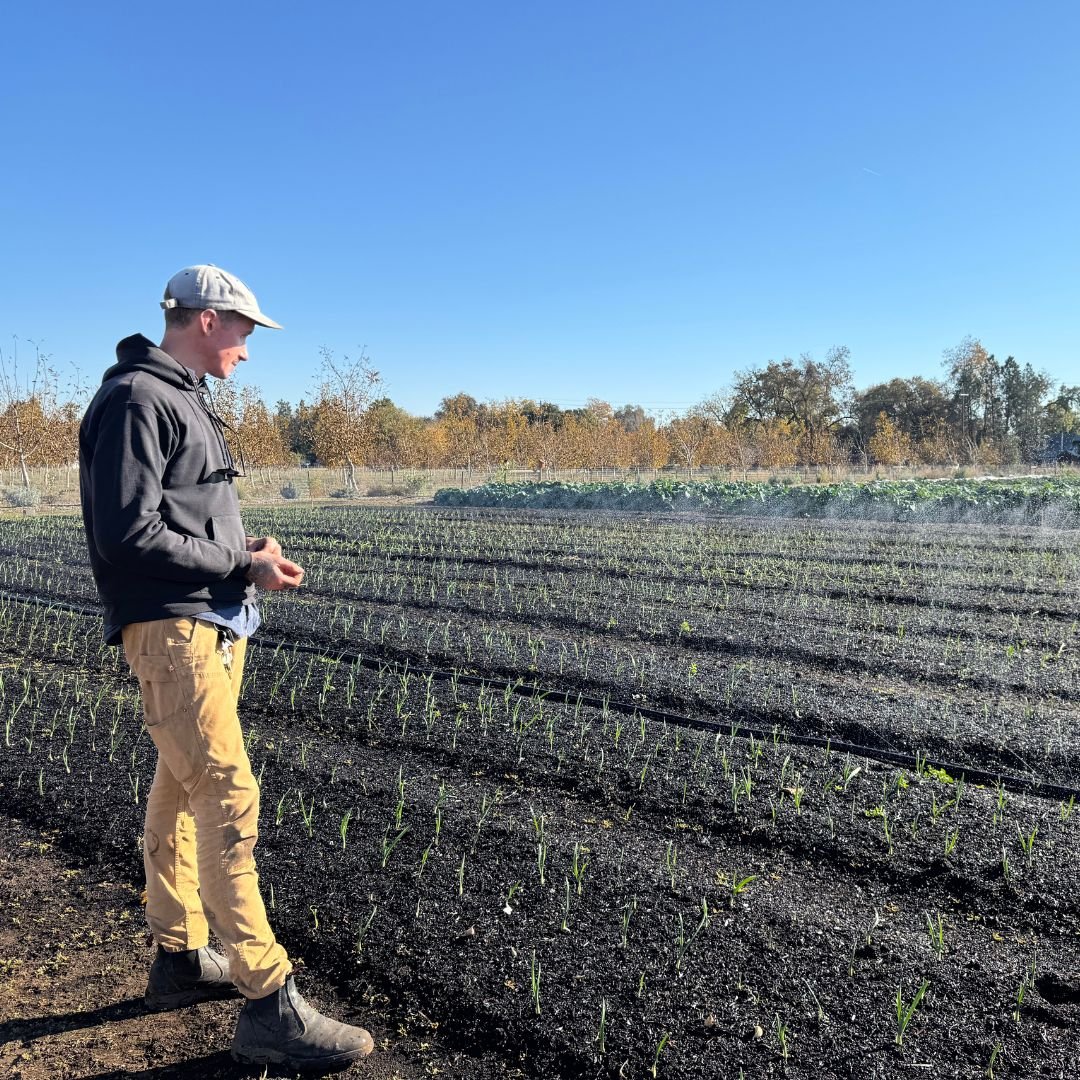 Sumi Soaker R-Wide Kit | Wide-Coverage Overhead Irrigation