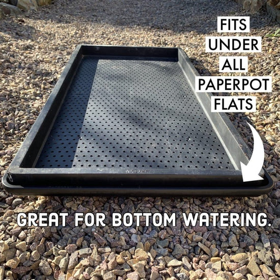 Paperpot Solid Trays | Heavy-Duty - Made in USA - BPA-Free